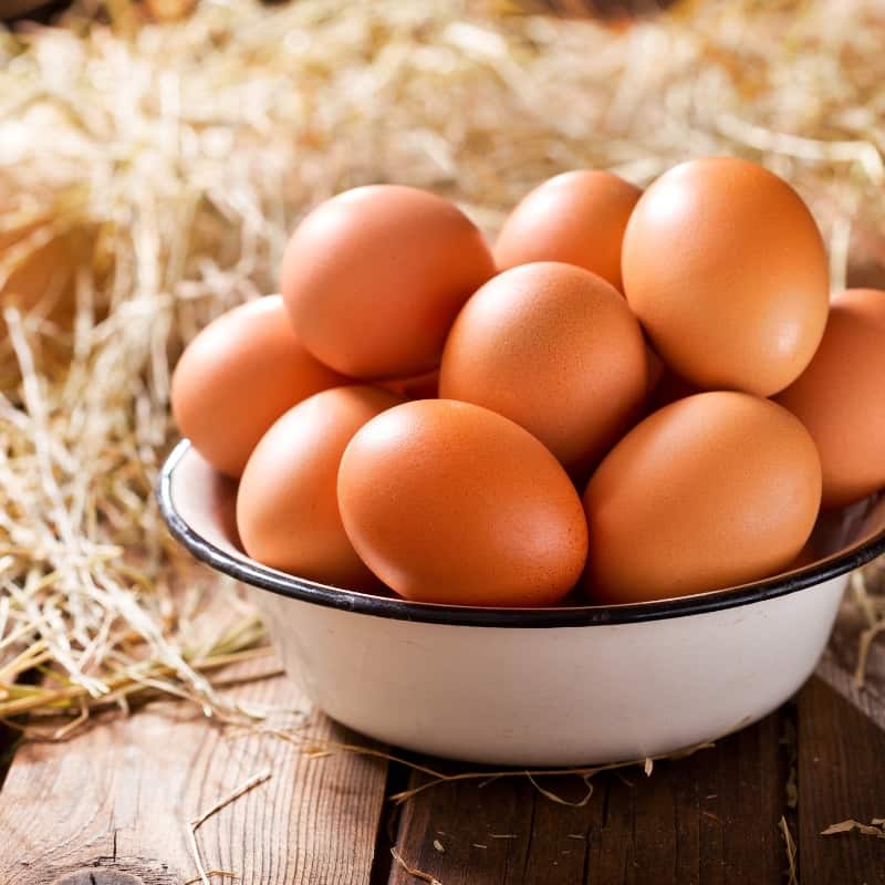 The Relationship Between Diet And Egg Laying Explained